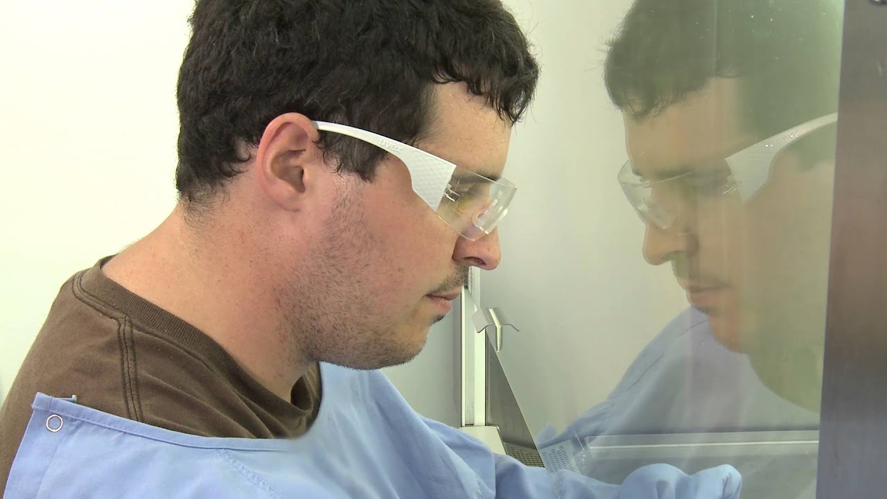 IC50 or cell viability experiment - YouTube