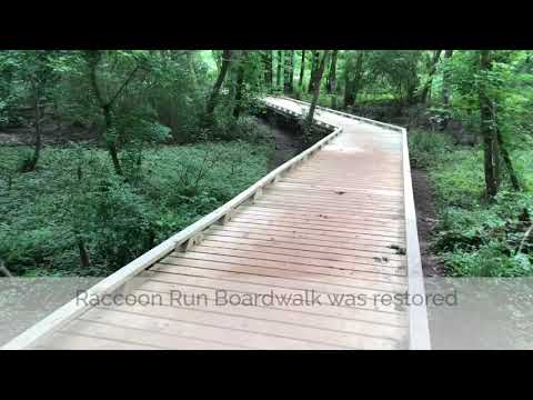 A Look at 2020 at Lake Conestee Nature Preserve - YouTube