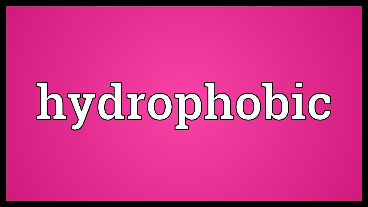 Hydrophobic Meaning - YouTube