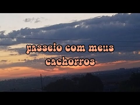 passeando com meus cachorros - YouTube