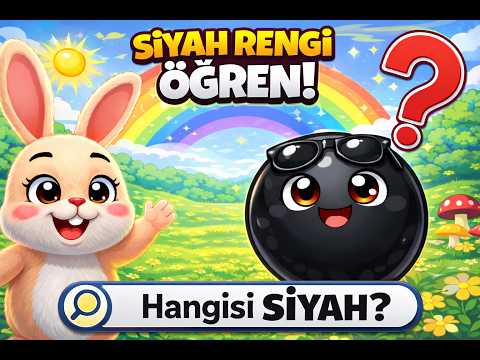 ⚫ Siyah Top ile Renkleri Öğreniyoruz! 🎨👶