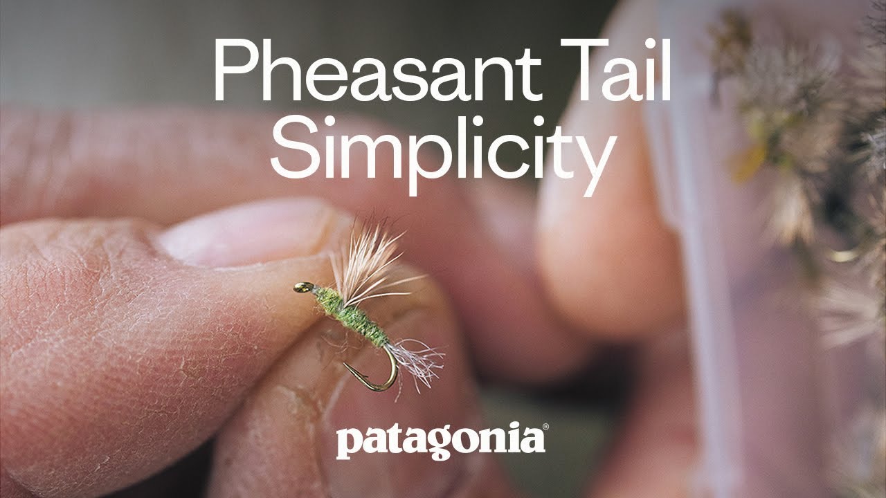 Pheasant Tail Simplicity: Recipes and Techniques for Successful Fly ...
