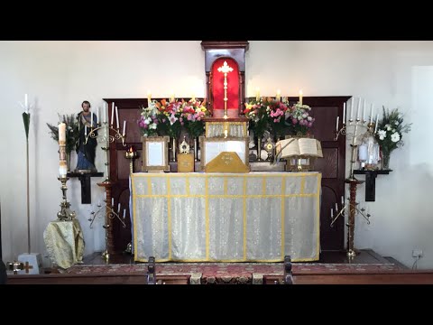 Live Traditional Latin Mass 10 April 2023 @St Anne’s - Easter Monday ...
