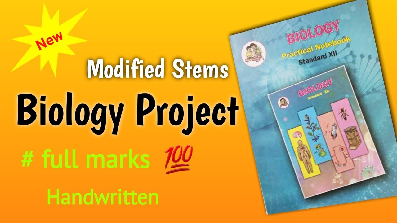 Modified Stems | Biology Project | Class 12 - YouTube
