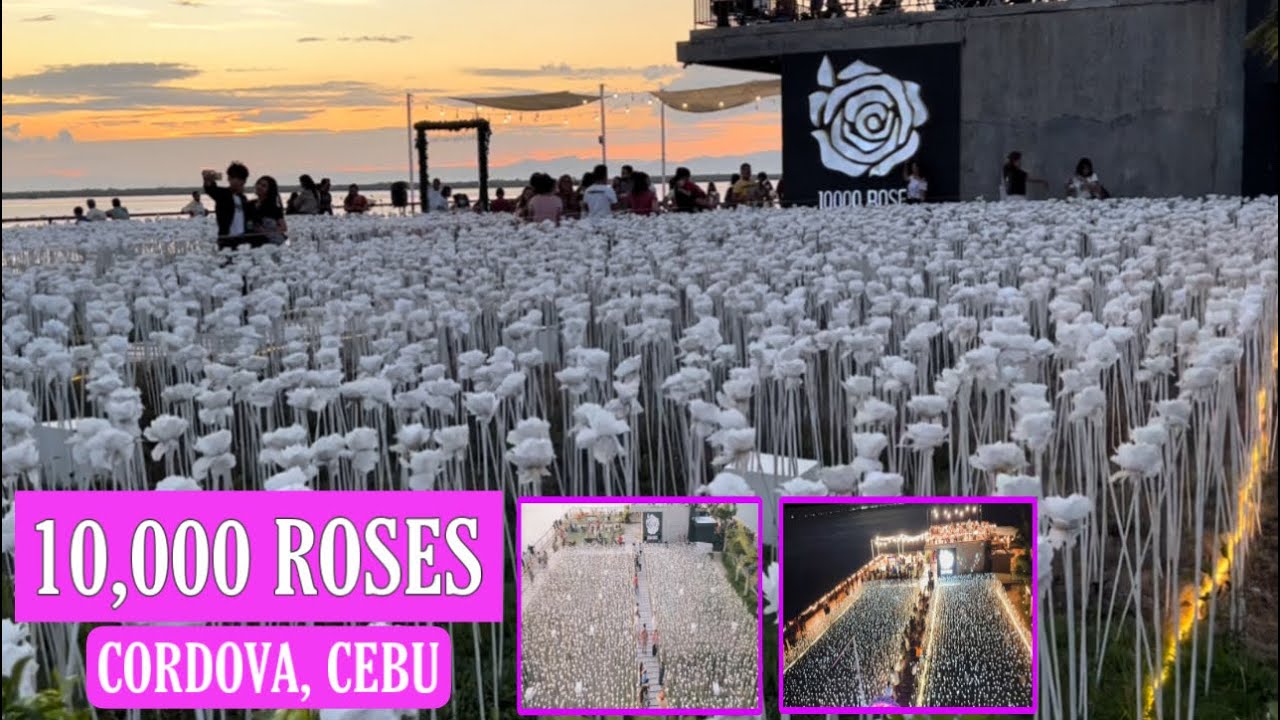 10,000 ROSES I CORDOVA, CEBU - YouTube