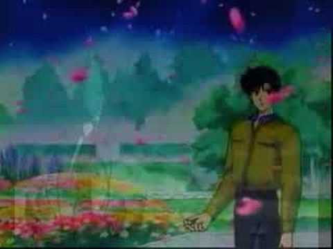 sailor moon you raise me up