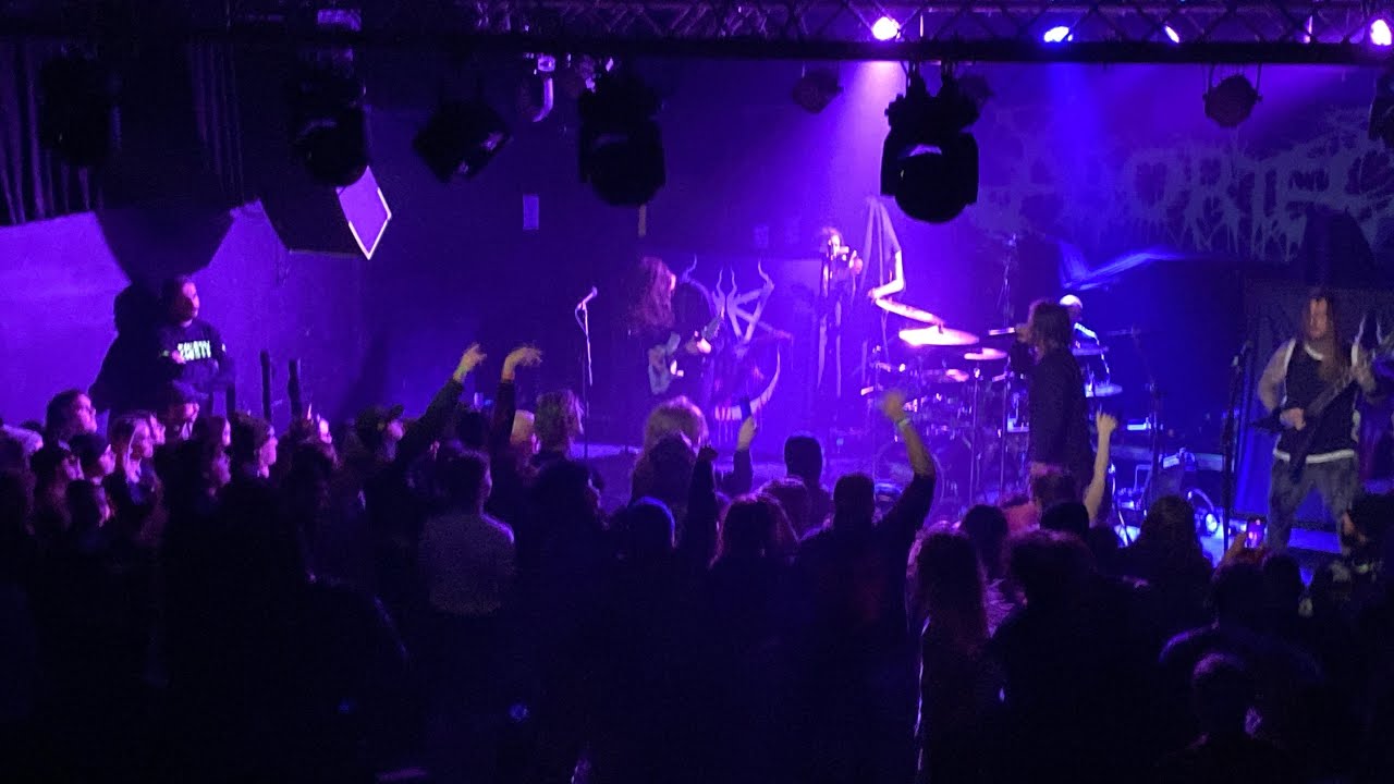 Ingested at the Vanguard 2-19-25 - YouTube