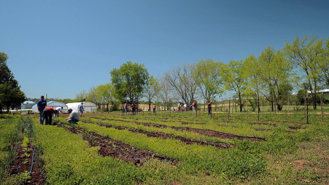 MTSU True Blue Preview: Plant and Soil Science - YouTube