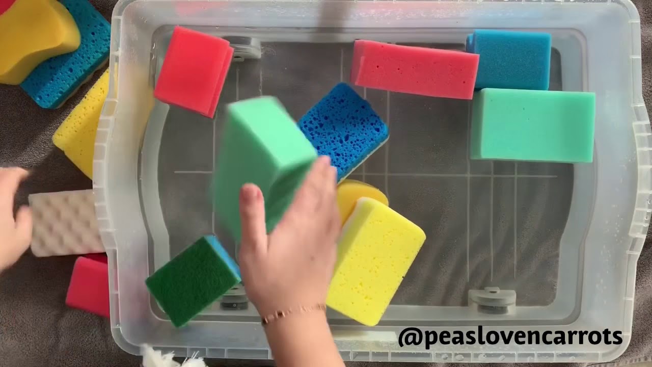 PLAYING WITH SPONGES - YouTube