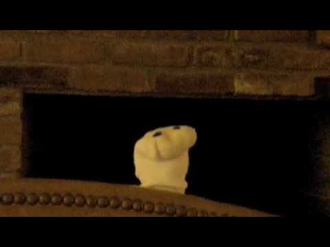 The World's Longest Puppet Show! - YouTube