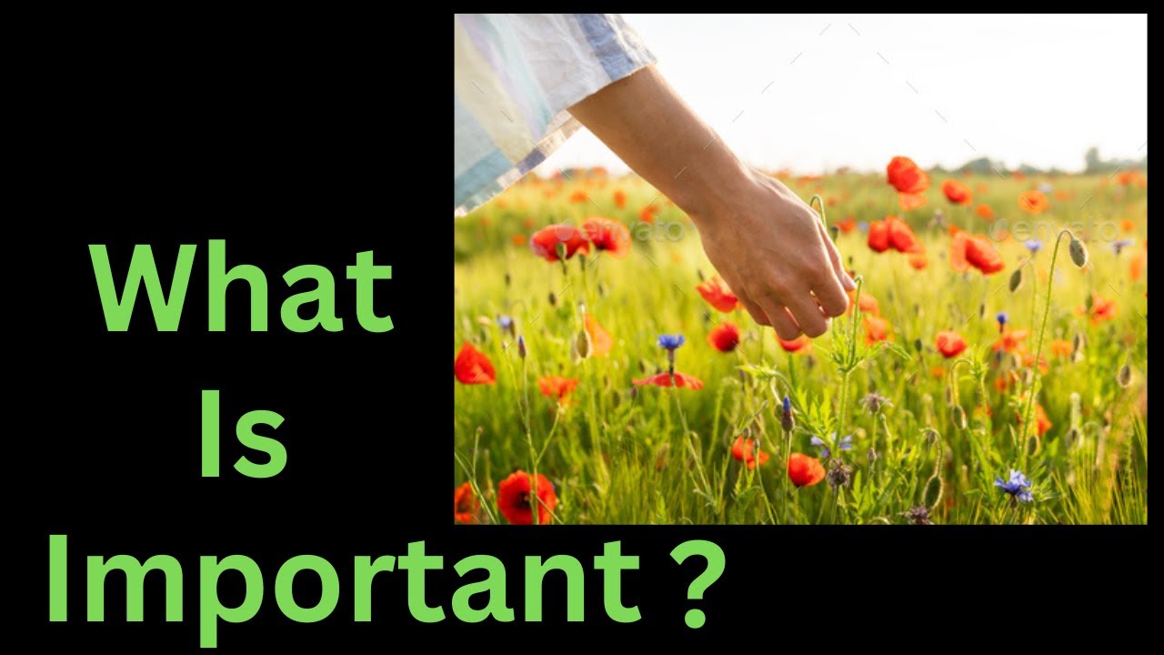 What is Important ? - YouTube