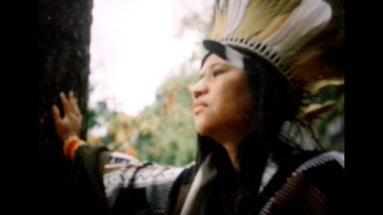 Scottish rainforest and Brasillian Indigenous people's blessing - YouTube