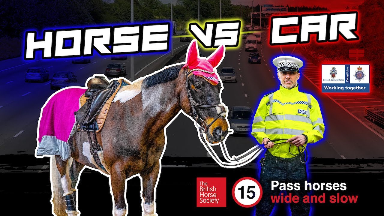HORSE VS CAR - EQUINE SAFETY ON THE ROADS - WHY DO YOU SLOW DOWN AND ...
