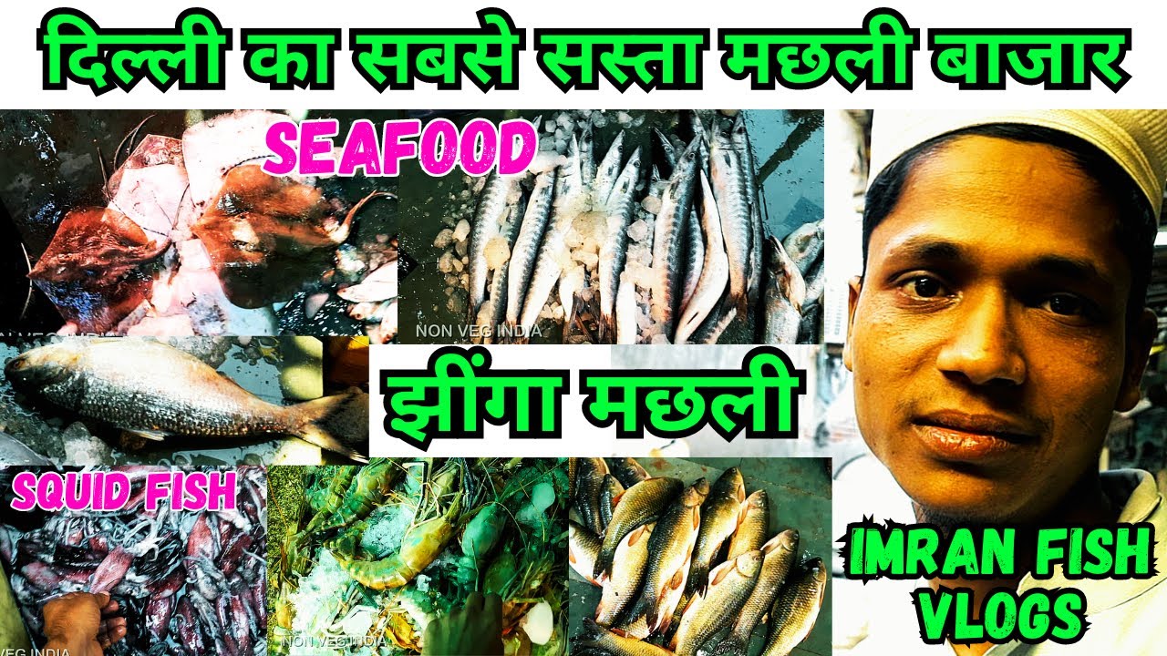 थोक मछली बाज़ार दिल्ली | Asia ka Sabse Bada Fish Market | #@nonvegindia ...