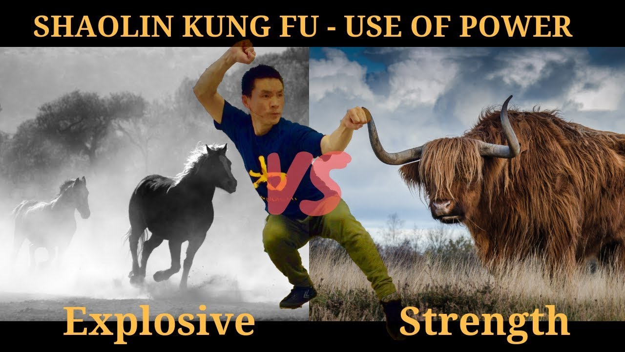 Shaolin Lian Huan Quan | 连环拳 - Kung Fu Explosive Power & Application ...