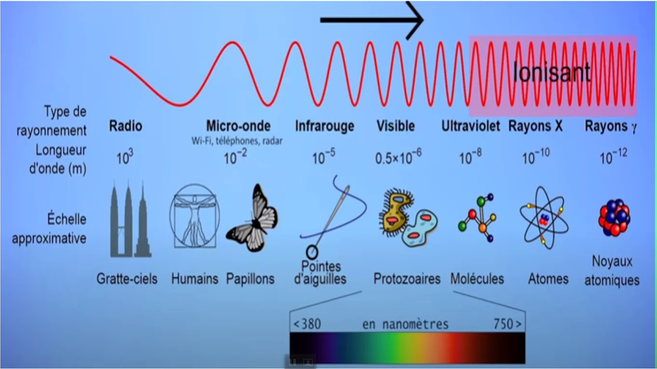Chapitre 2 : le noyau et les rayonnements. Partie 2 : les ondes ...