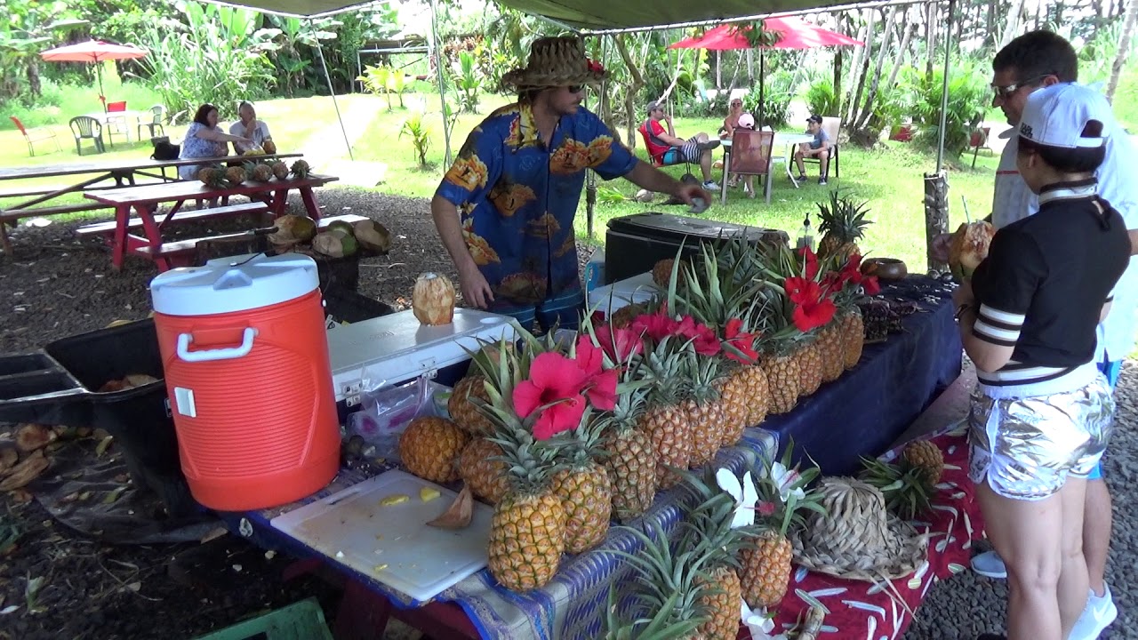 Aloha Farm coconut and pineapple stand with my guests just back from ...