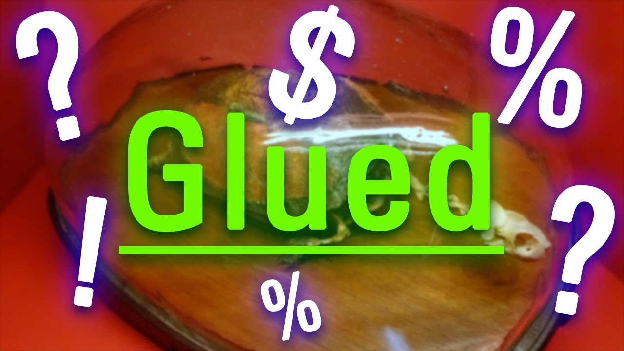 What is Glued? | How to Say Glued in English? | How Does Glued Look ...