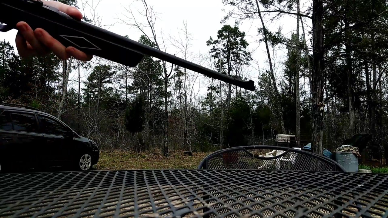 JUST SHOOTING TWO BB GUN'S AT A TREE | VLOG # 1 | SHORT VIDEO .|. - YouTube
