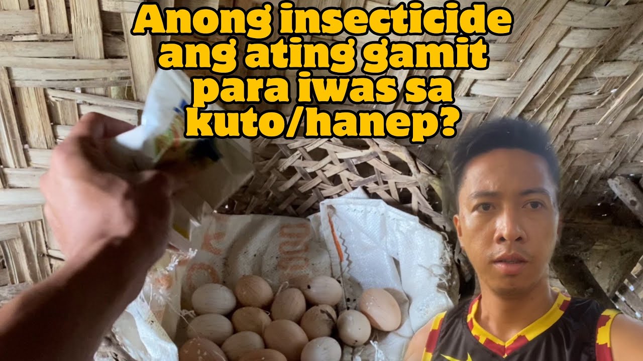 ANONG INSECTICIDE ATING GAMIT KUNG TAYO AY NAGPAPALIMLIM PANG IWAS KUTO ...