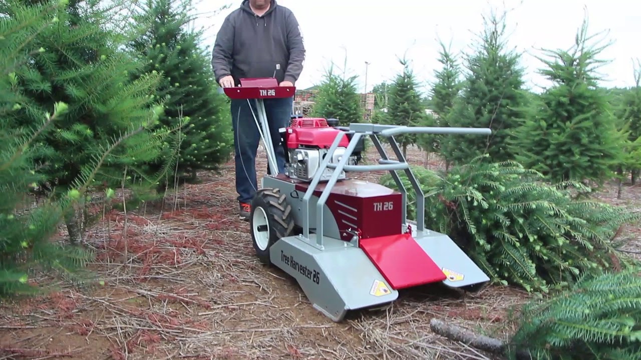 Tree Harvester 26 In Action - YouTube