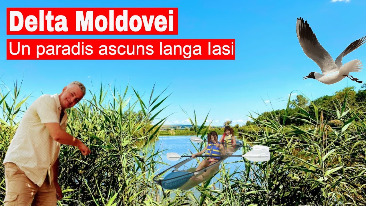 Delta Moldovei - Paradisul ascuns de langa Iasi #Delta Moldovei - YouTube