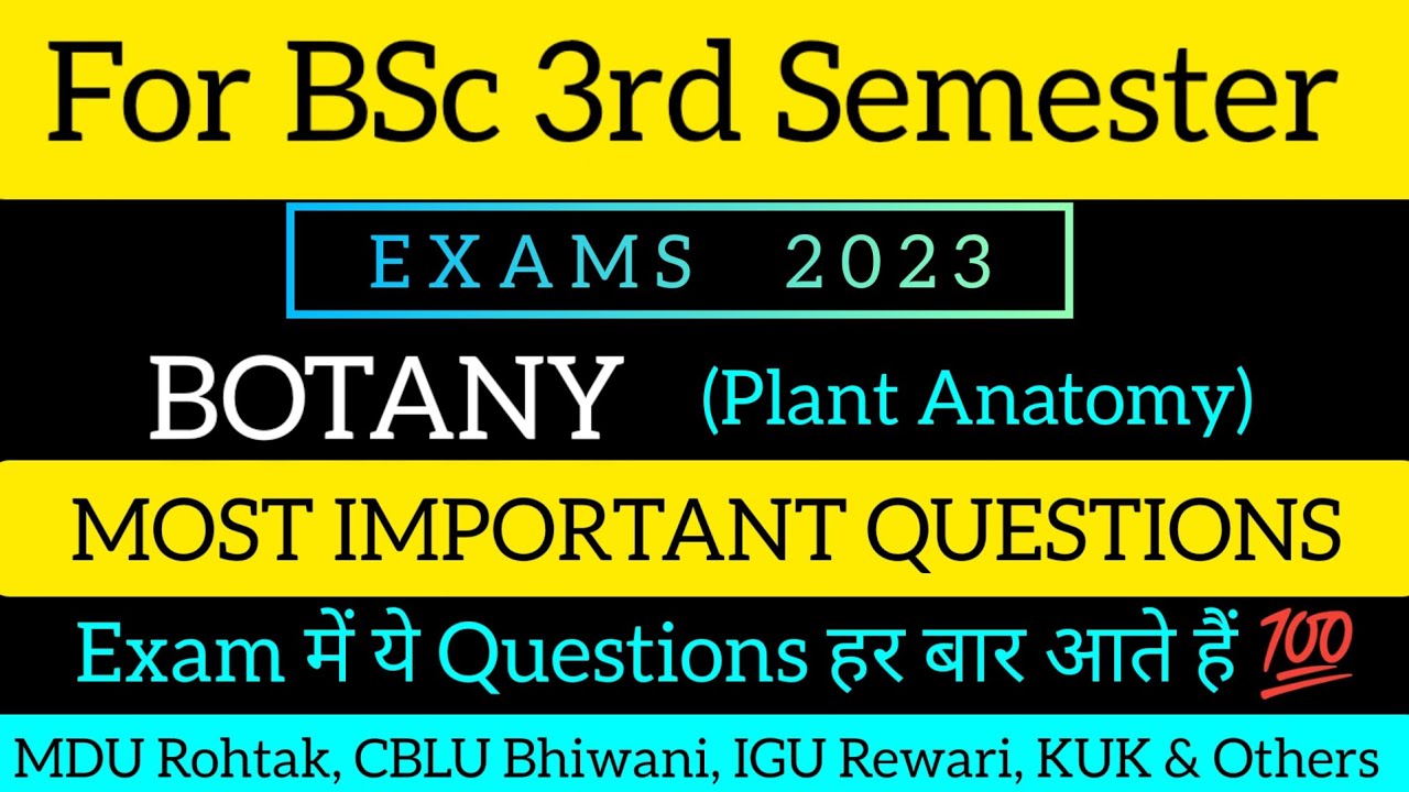 BSc II Year 3rd Semester Botany Plant Anatomy Important Questions 2023 ...