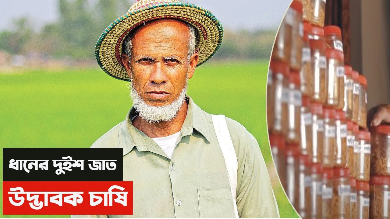 দু’শর বেশি নতুন জাতের ধান উদ্ভাবক যে কৃষক। Rice variety inventor farmer ...