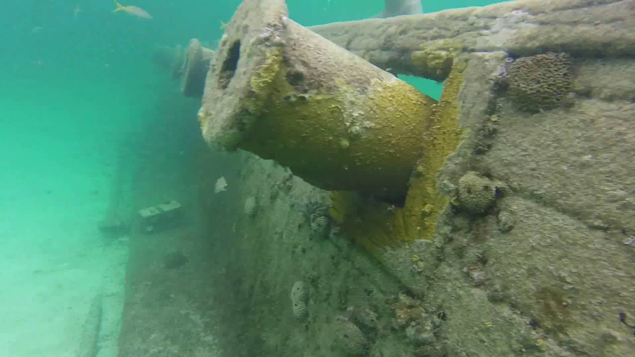 Snorkeling Coco Cay - YouTube