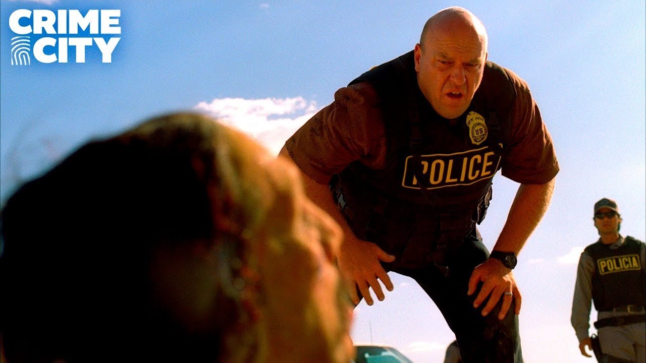 Breaking Bad | Head on a Turtle (Dean Norris) - YouTube