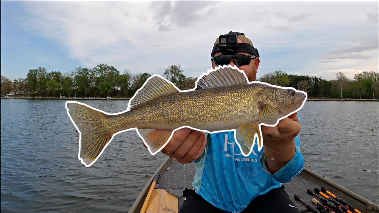 Spring Indiana Walleye Bite was HOT! - YouTube