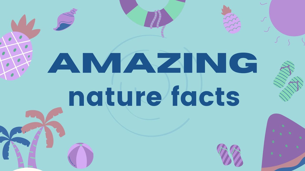 Amazing nature facts | real facts | close to nature | facts about ...