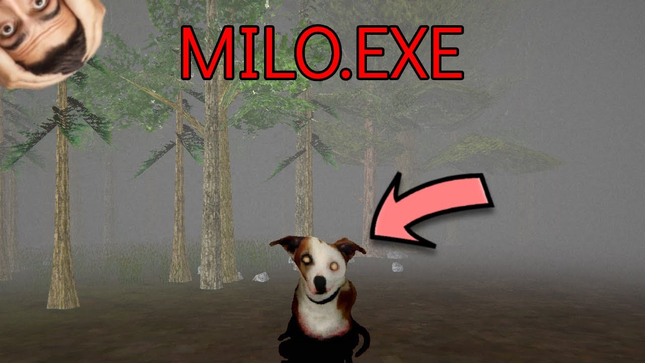 Cosas peligrosas del bosque... - Milo.exe - YouTube