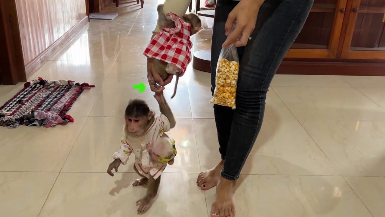 [Sweet Family] Brother John Carry Minea Go To Eat Popcorn With Yuri ...