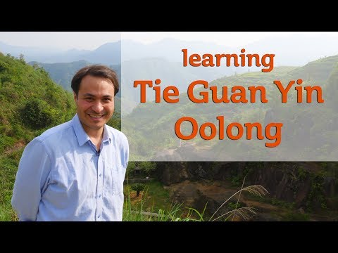 Learning Tie Guan Yin Oolong - Tea Documentary | China Trip