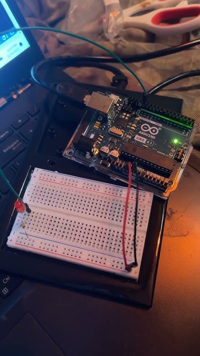 Blinking LED - YouTube