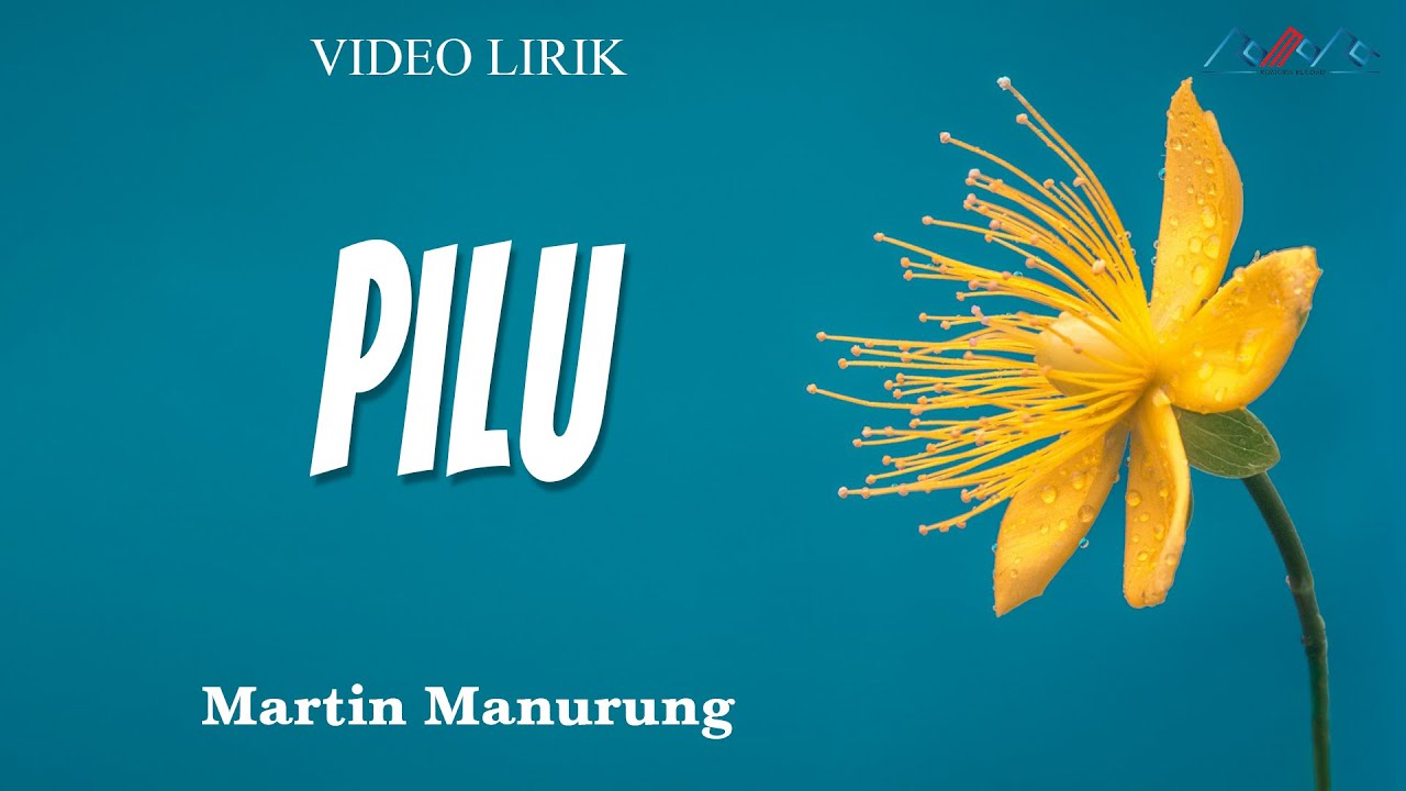 Martin Manurung - Pilu (Video Lirik) - YouTube