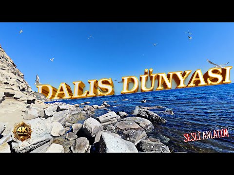 Speerfischen im Marmarameer! / Schwarze Küstenjagden / Audiokommentar / Untertiteloptionen