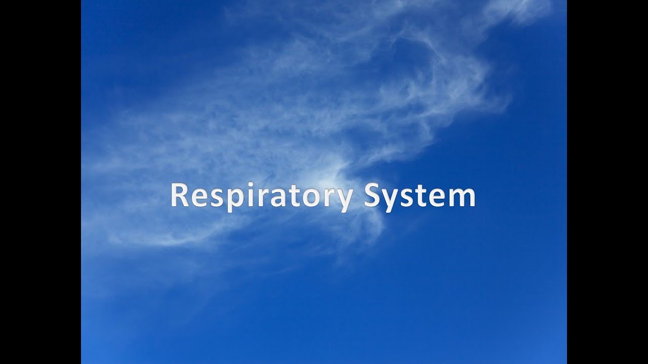 Medical Terminology Signs and Symptoms of the Respiratory System - YouTube