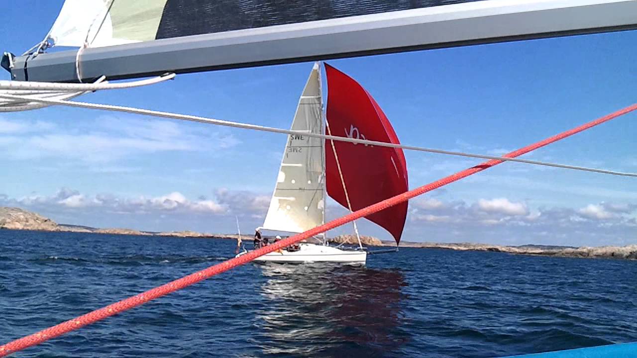 Cheetah 30.mp4 - YouTube