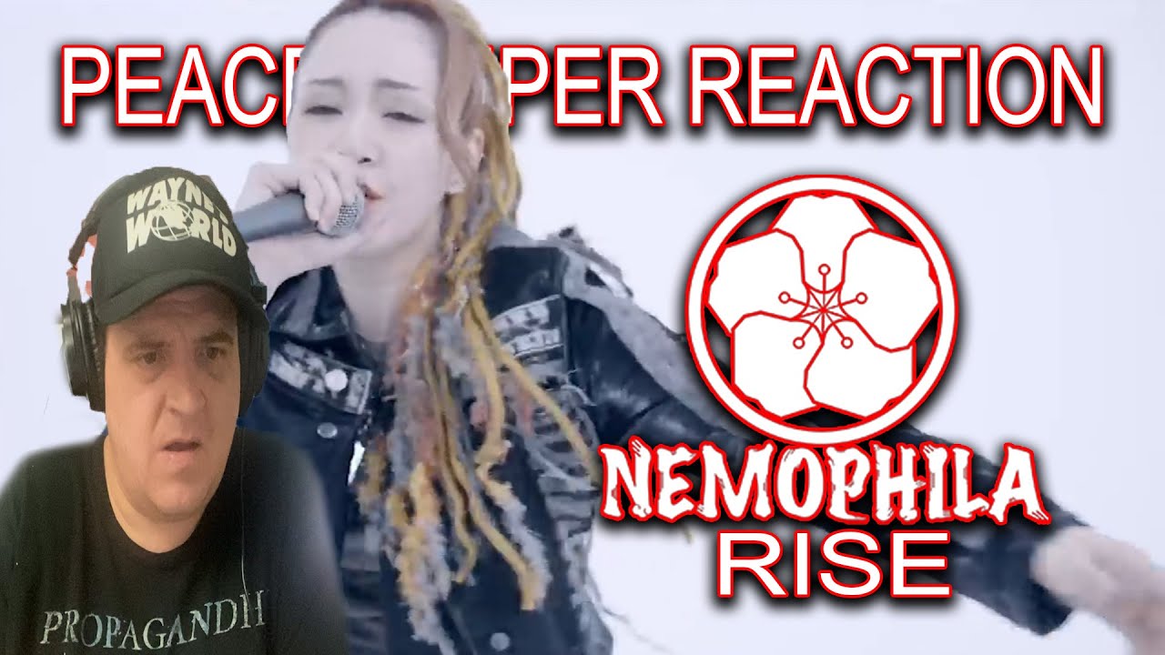 Destination: Japan - Nemophila - Rise - YouTube