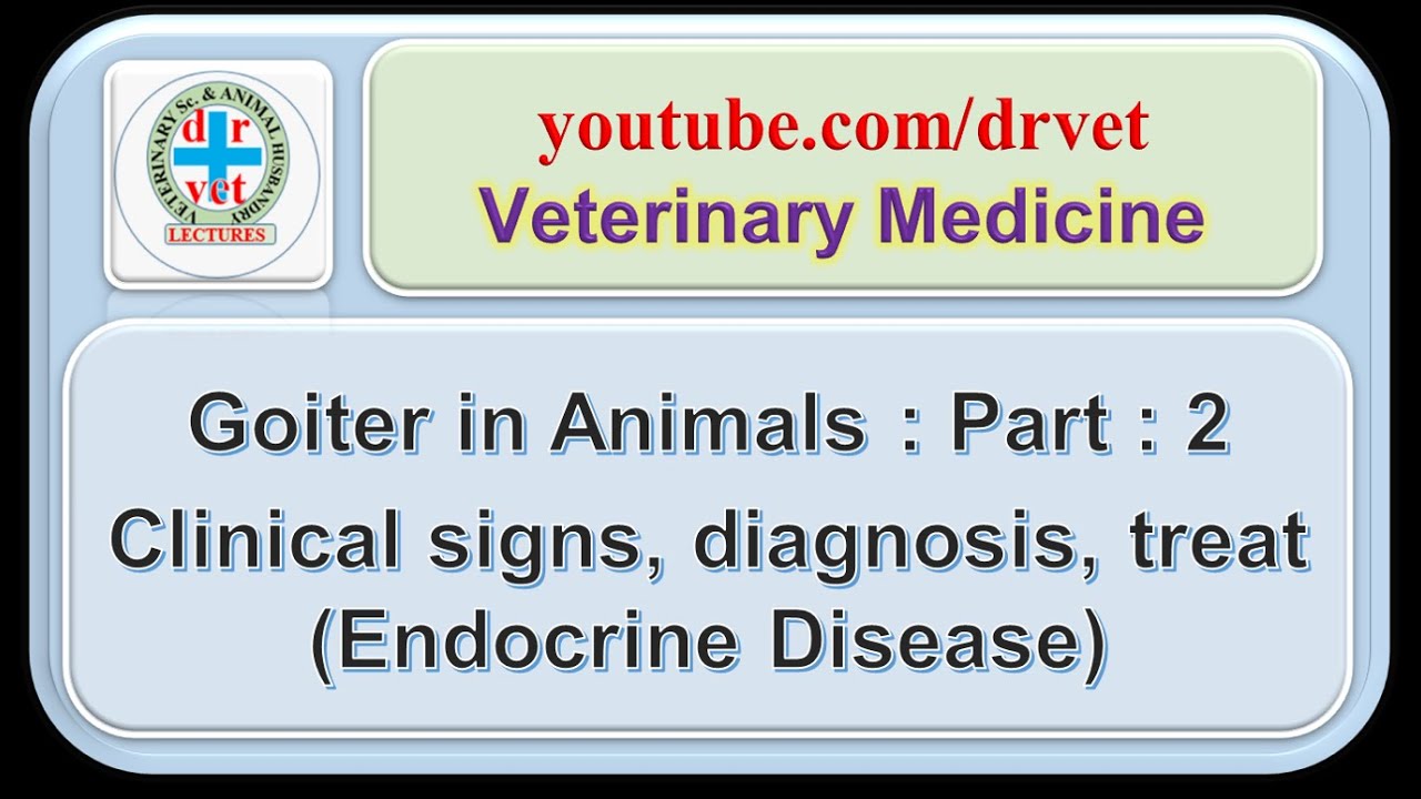 Goiter in Animals : Part : 2 : clinical findings, diagnosis, treatment ...
