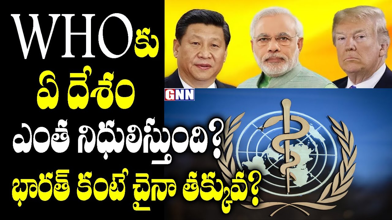 World Health Organisation Funders List | Top 10 WHO Contributors 2020 ...