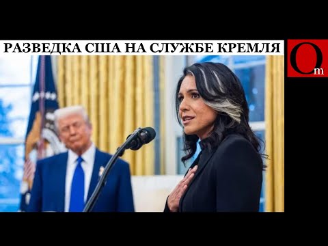 Тулси Габбард – ABD istihbaratı Kremlin'in sesiyle konuştuğunda