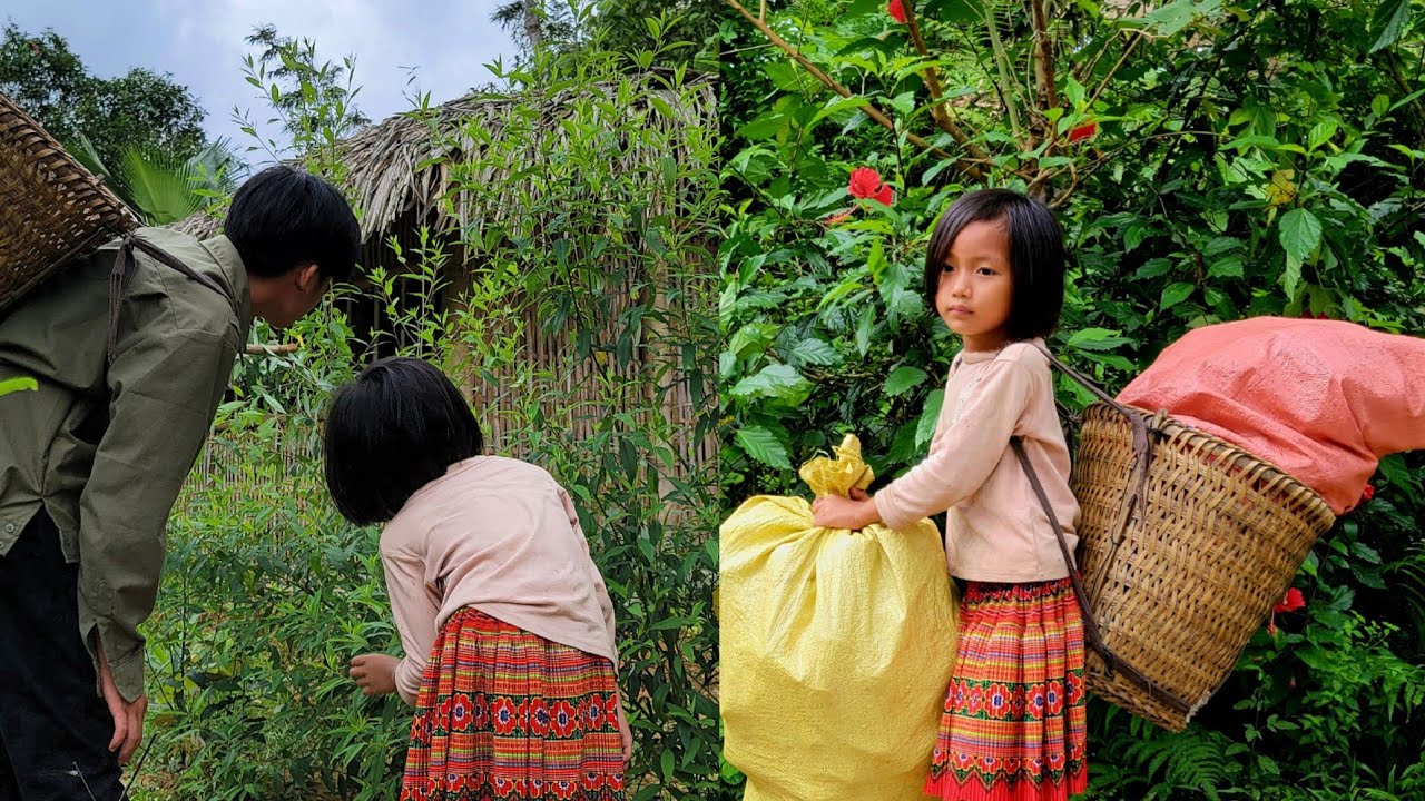 Full Video Homeless Children Collect Scrap and Sell Fruits - Repair ...