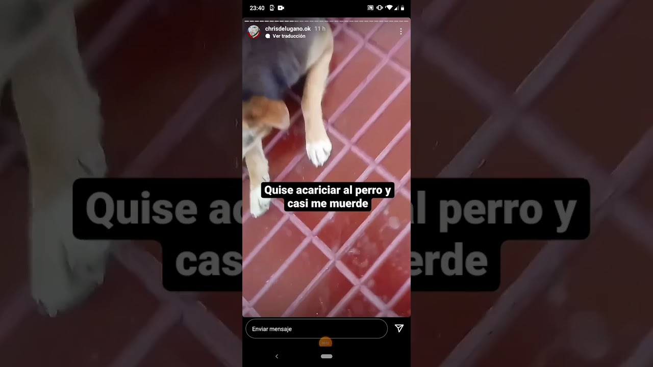 Christian de Lugano domado, ultrajado y humillado por un perro JAJAJAJA ...