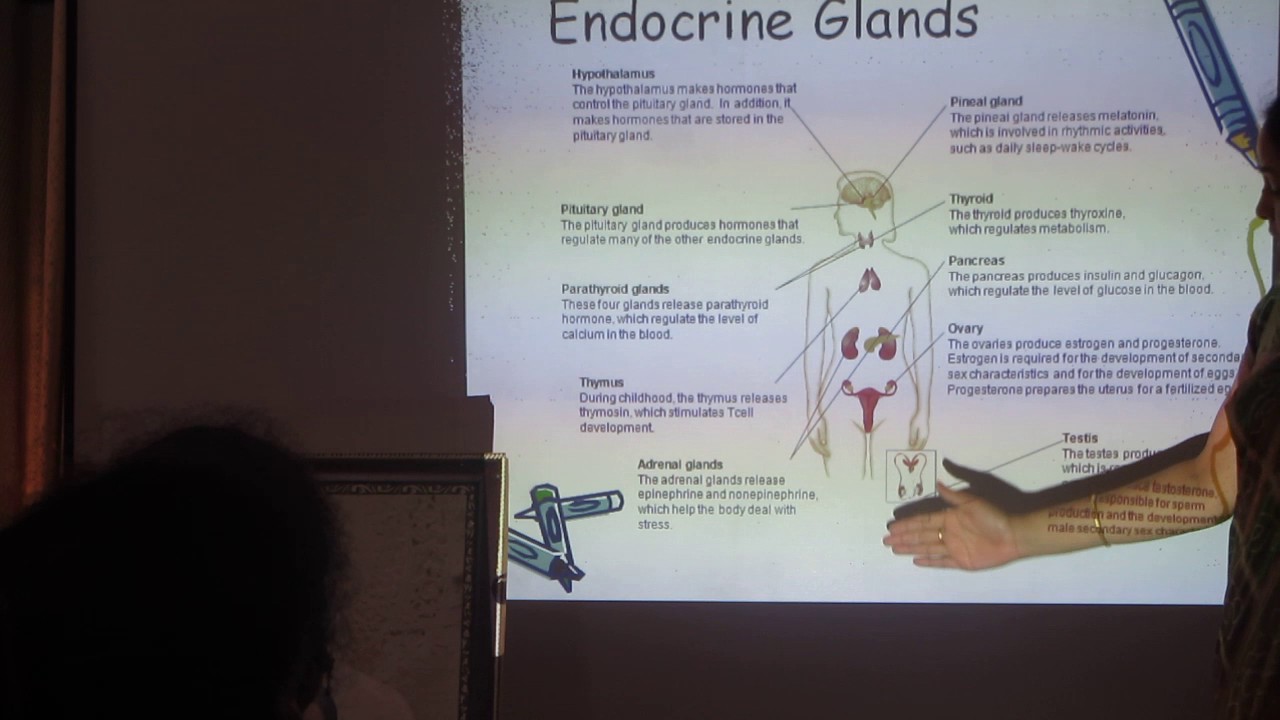Rani Brar,Sujok Smile,Endocrine Glands - YouTube