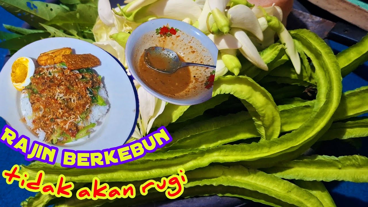 PANEN KECIPIR DLL UNTUK PECEL, PECEL BOK RA/MAS BUDI GEDANG - YouTube