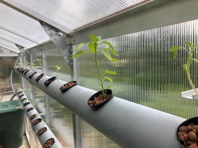 Pvc Hydroponic System Plans