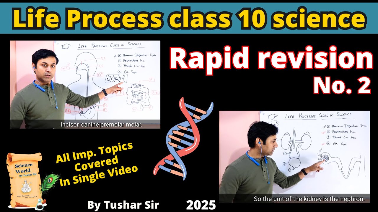 Life processes class 10 science biology | Rapid Revision | All ...